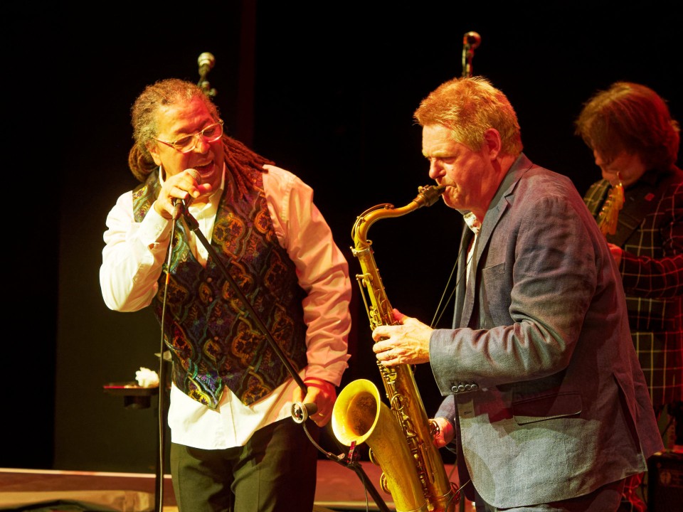 Gallery | The Wonder of Stevie