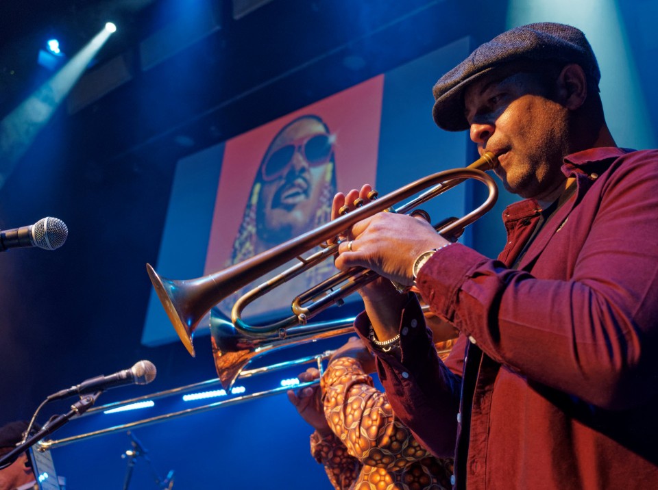 Gallery | The Wonder of Stevie