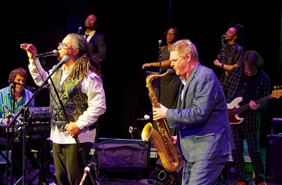 Gallery | The Wonder of Stevie